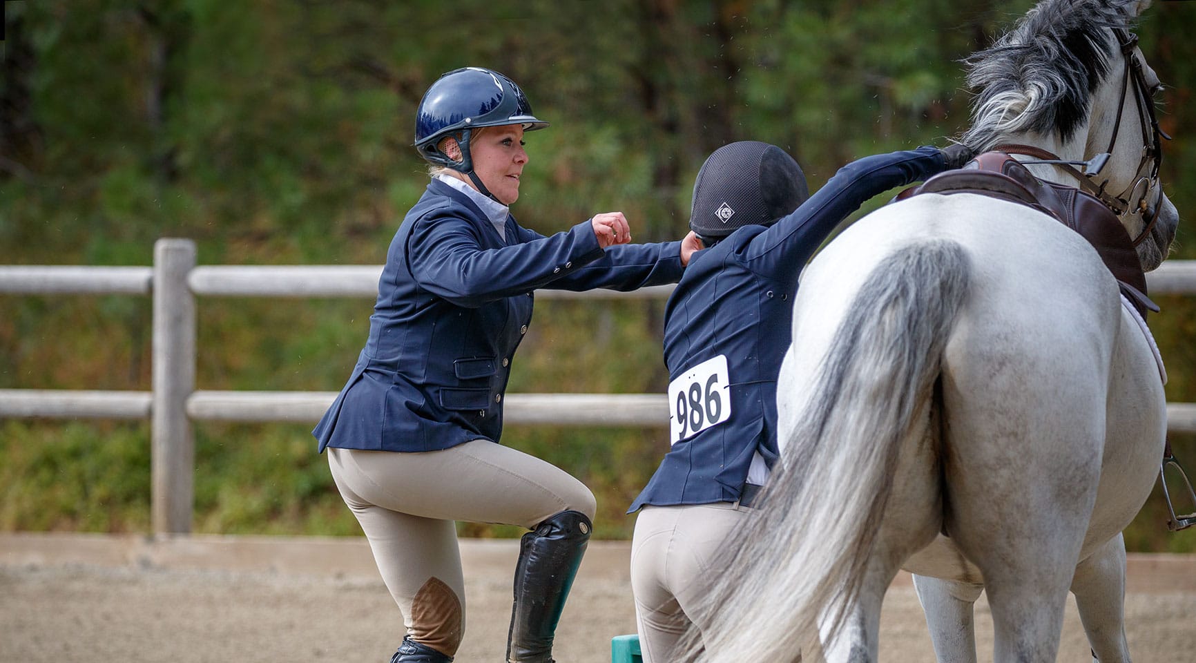 Spotlight Classes - Cascade Horse Shows