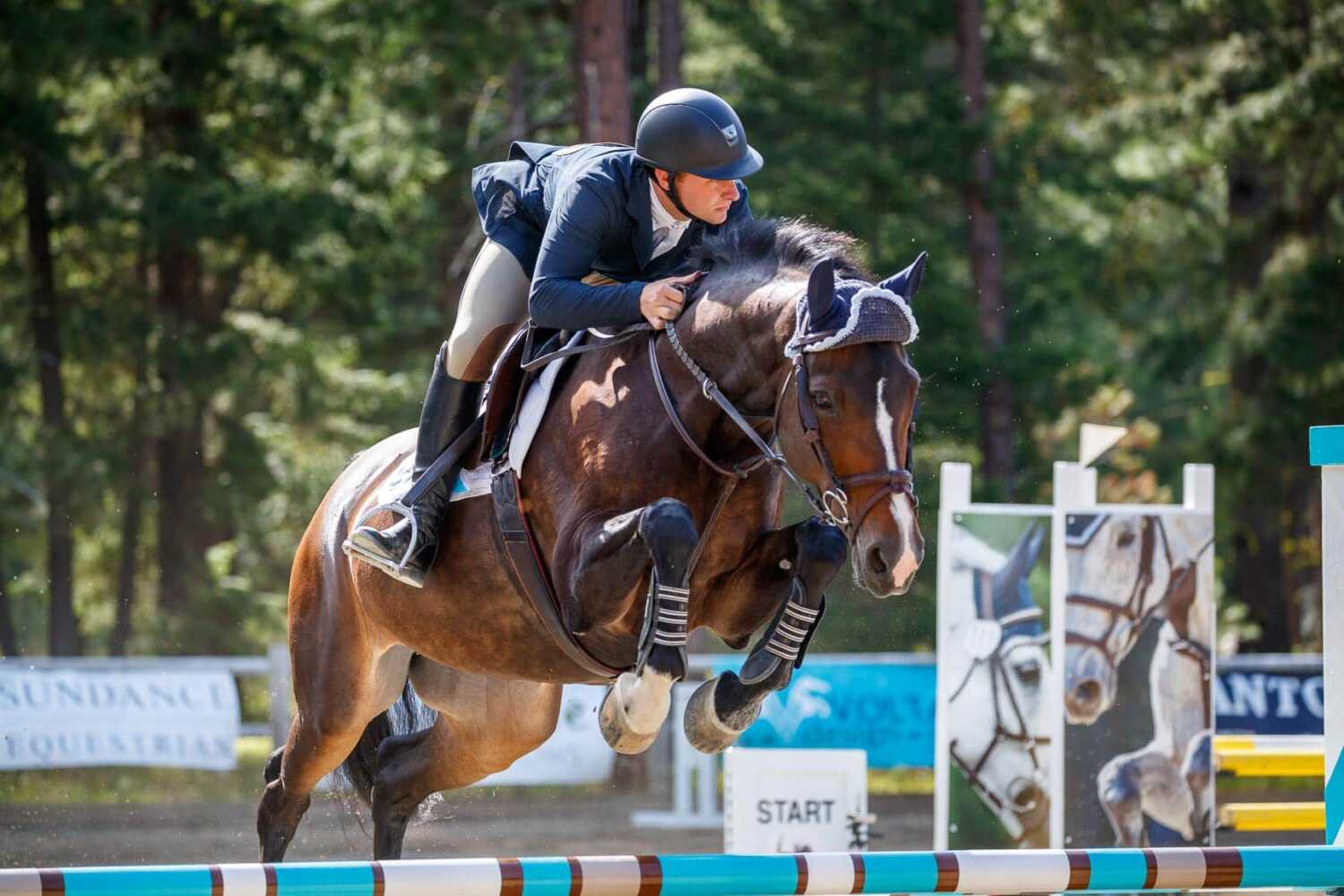 Announcing the 2020 Cascade Show Season! - Cascade Horse Shows