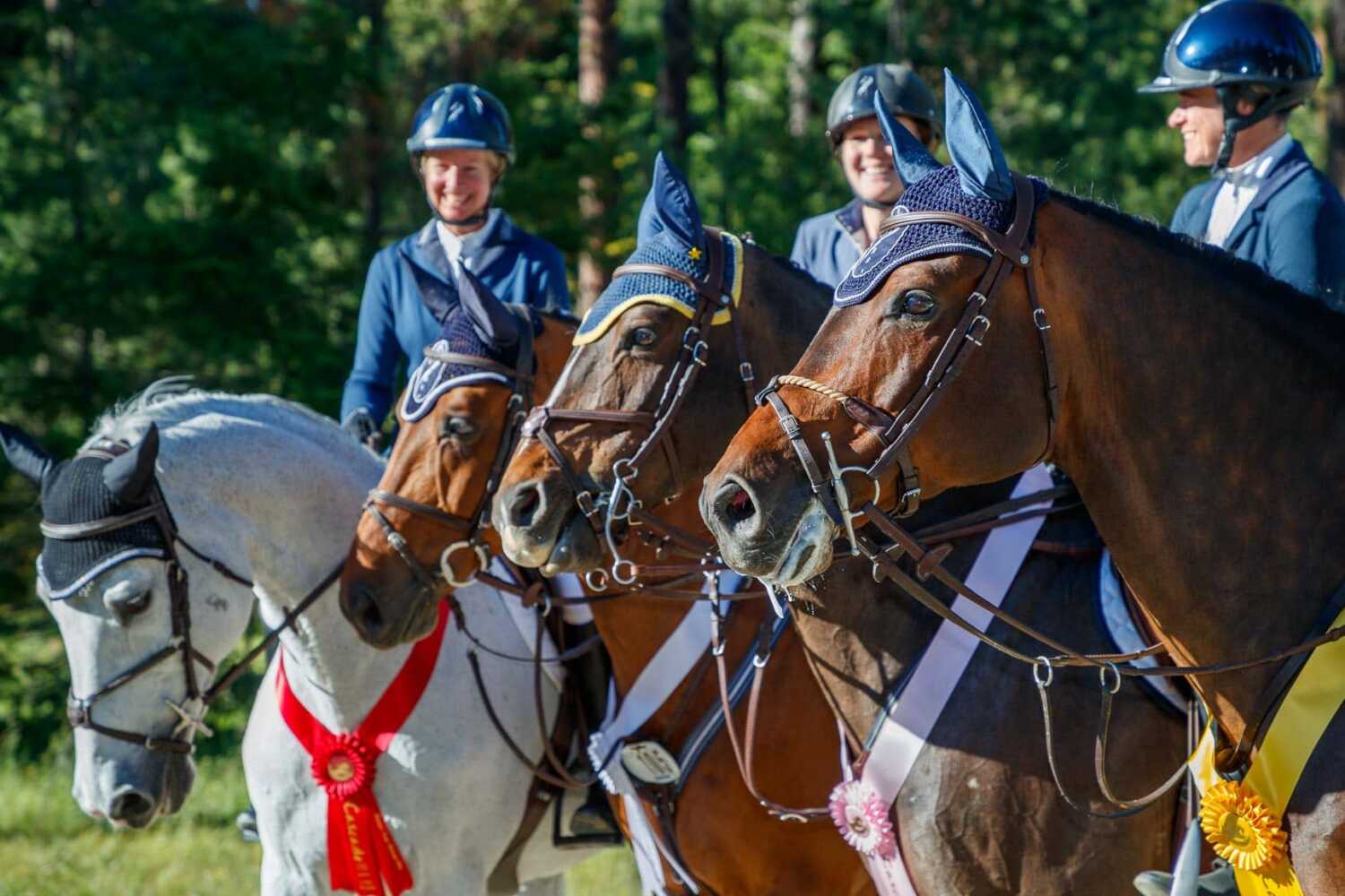 Announcing the 2020 Cascade Show Season! - Cascade Horse Shows