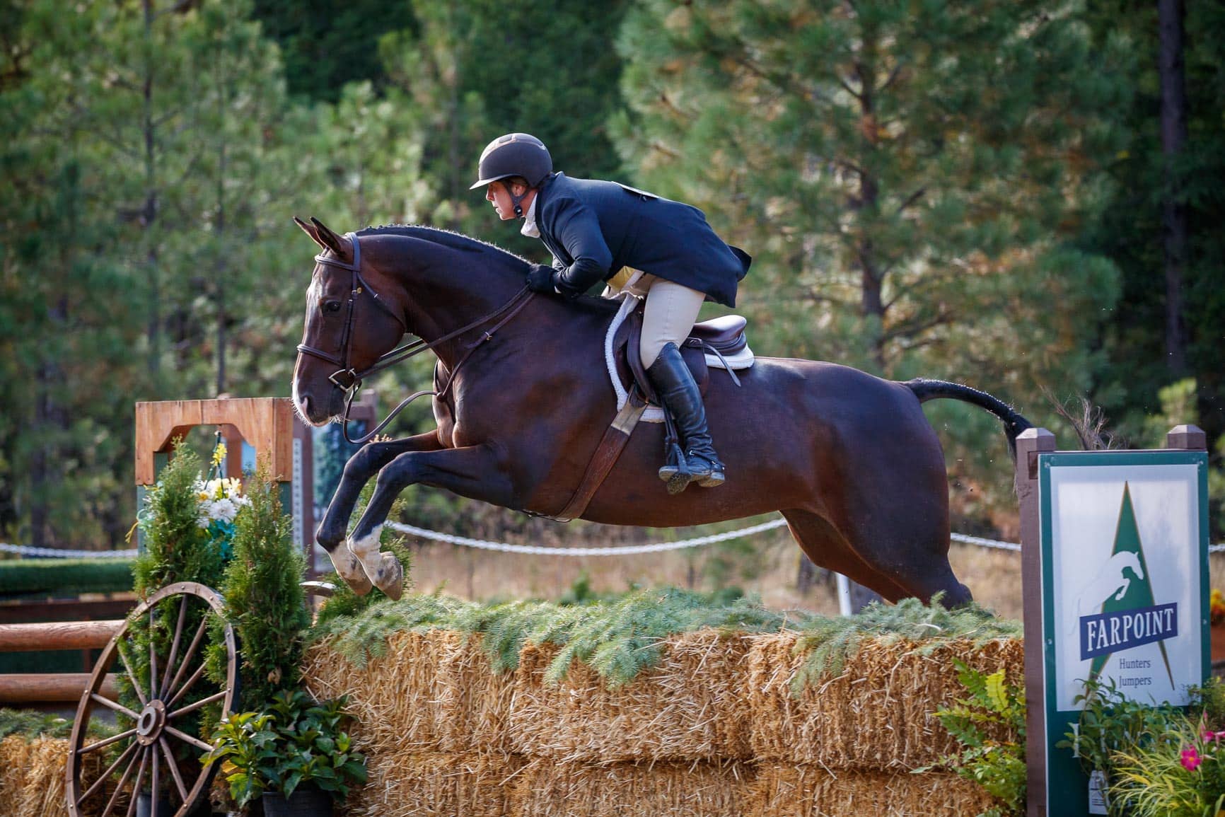 2020 Cascade Finals - Cascade Horse Shows