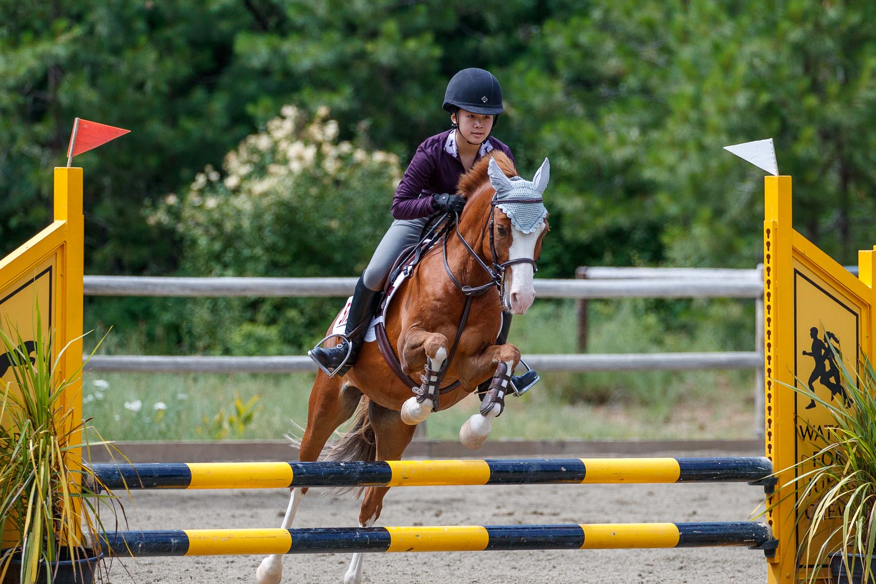 Announcing the 2020 Cascade Show Season! - Cascade Horse Shows