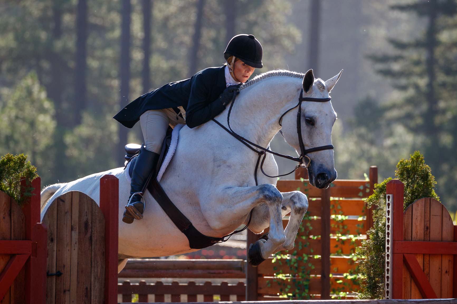 July Show Entries Open, Prize List Posted - Cascade Horse Shows