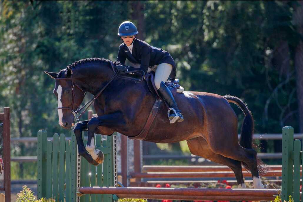 Announcing the 2022 Cascade Show Season - Cascade Horse Shows
