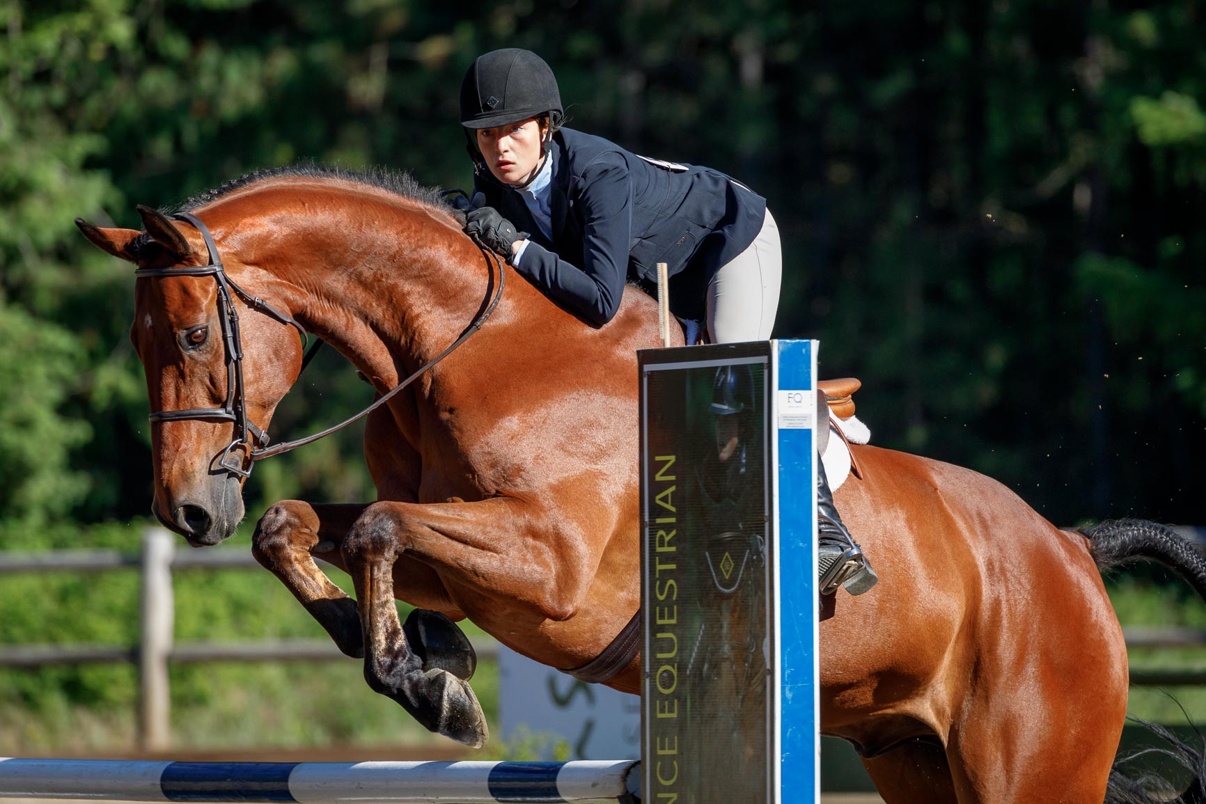 June Stall Reservations Open March 18 - Cascade Horse Shows