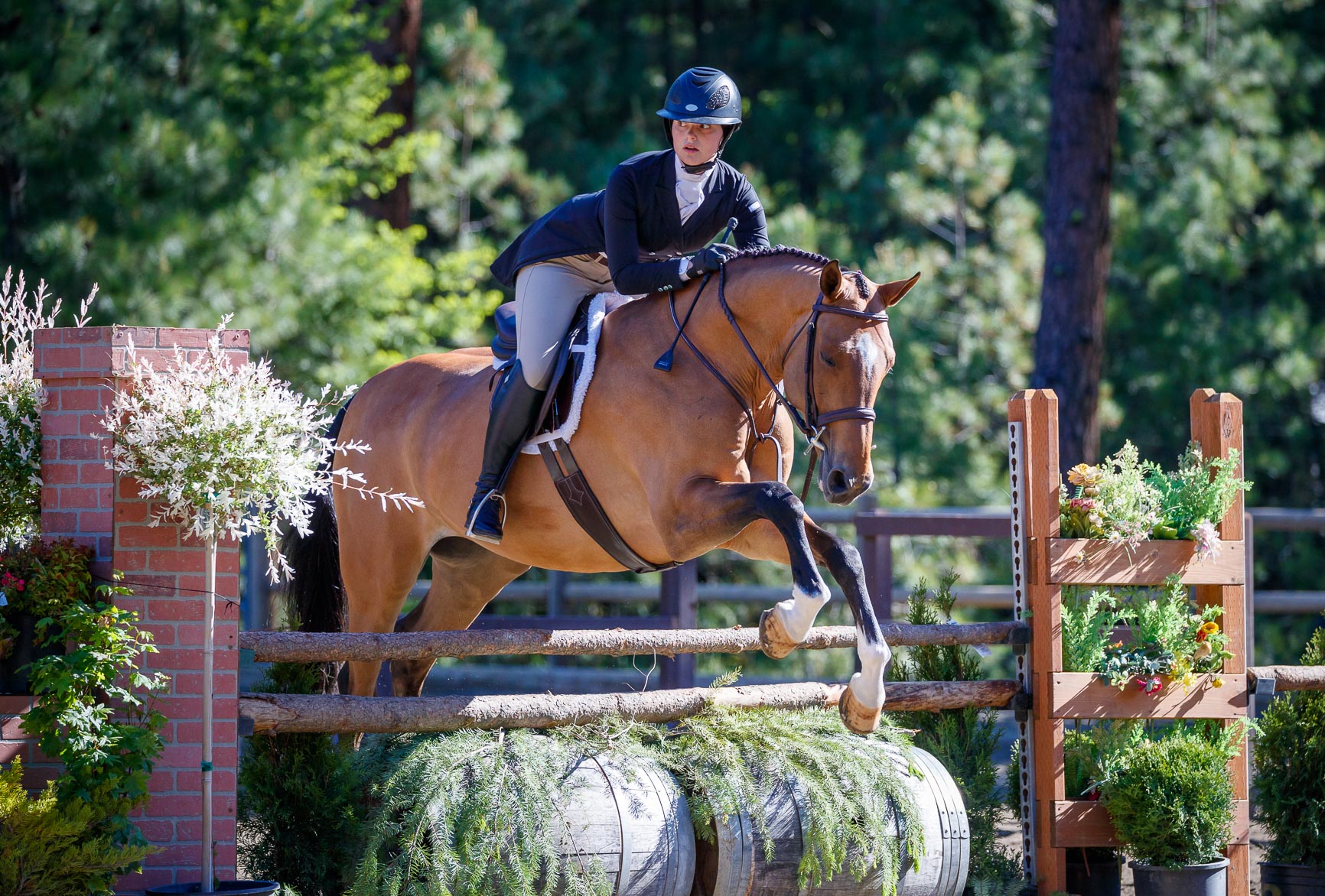 Announcing Our 2023 Season (With Something New!) - Cascade Horse Shows