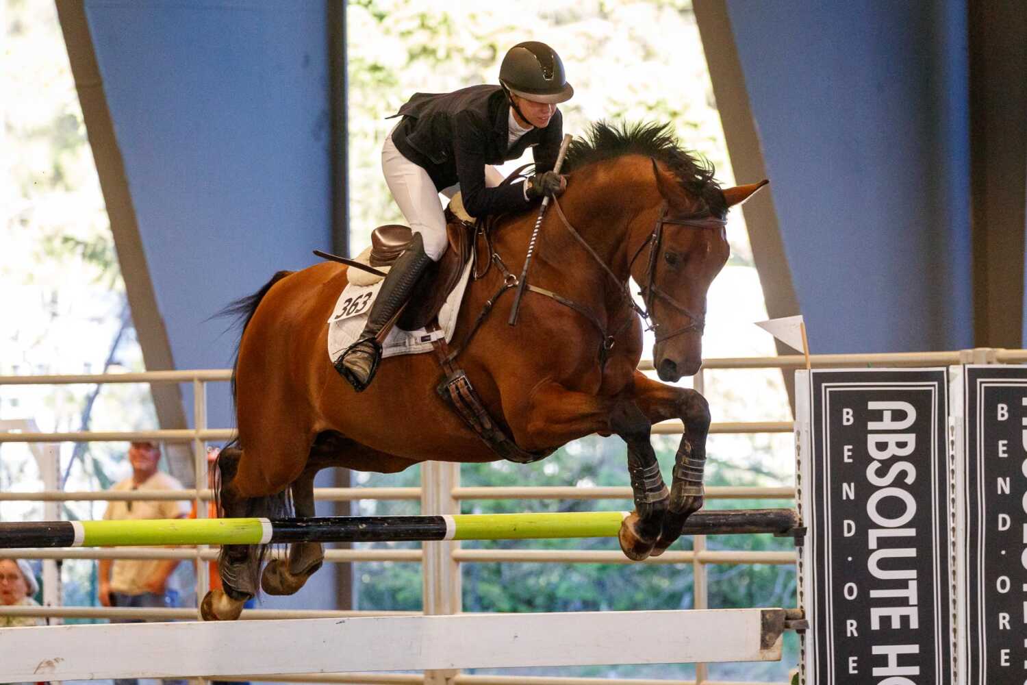 Announcing Our 2023 Season (With Something New!) - Cascade Horse Shows