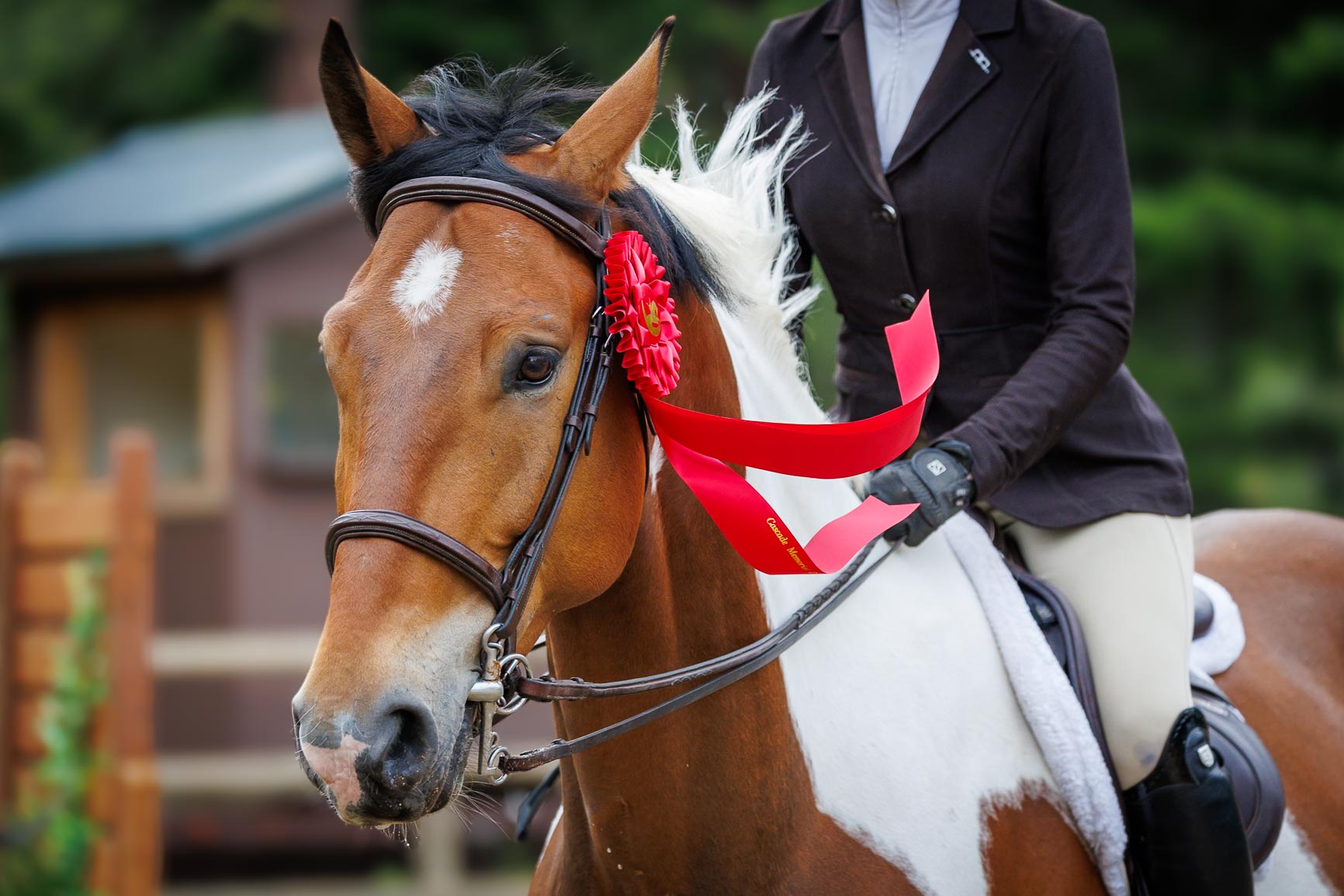 2025 Cascade Preview - Cascade Horse Shows