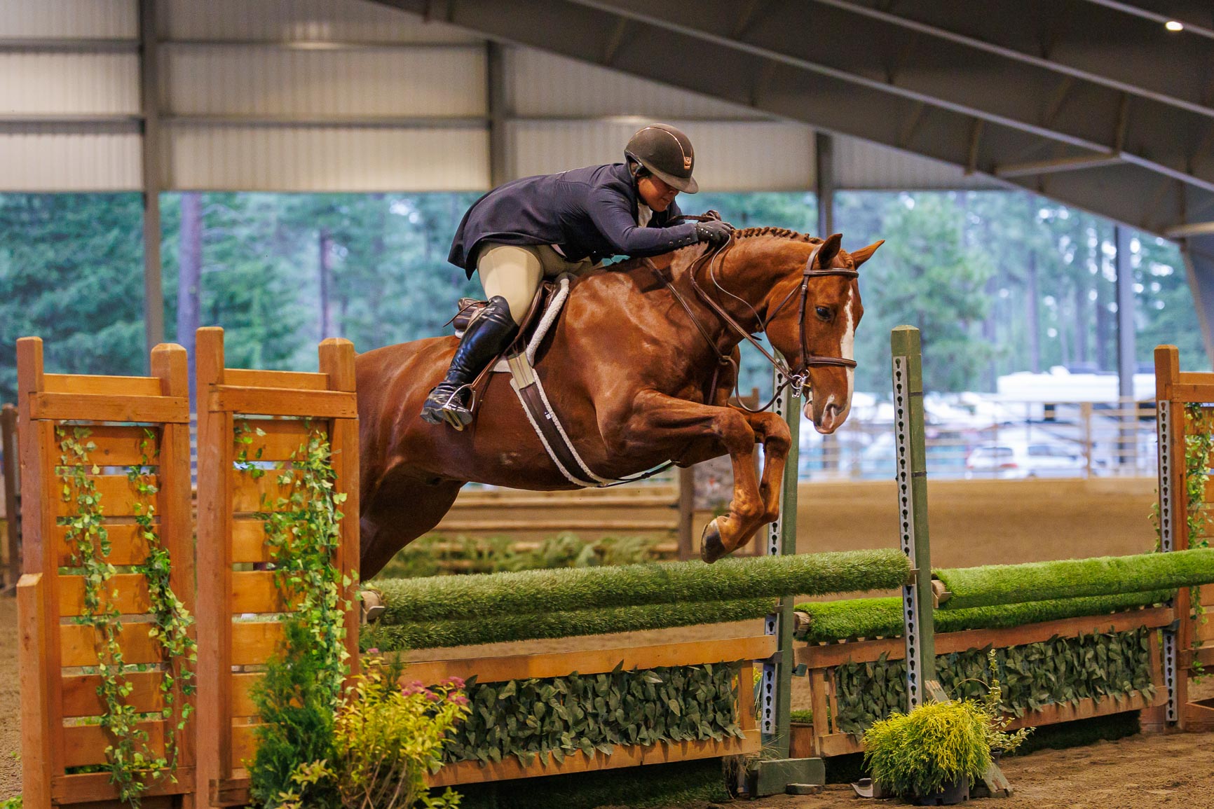 2025 Cascade Open - Cascade Horse Shows