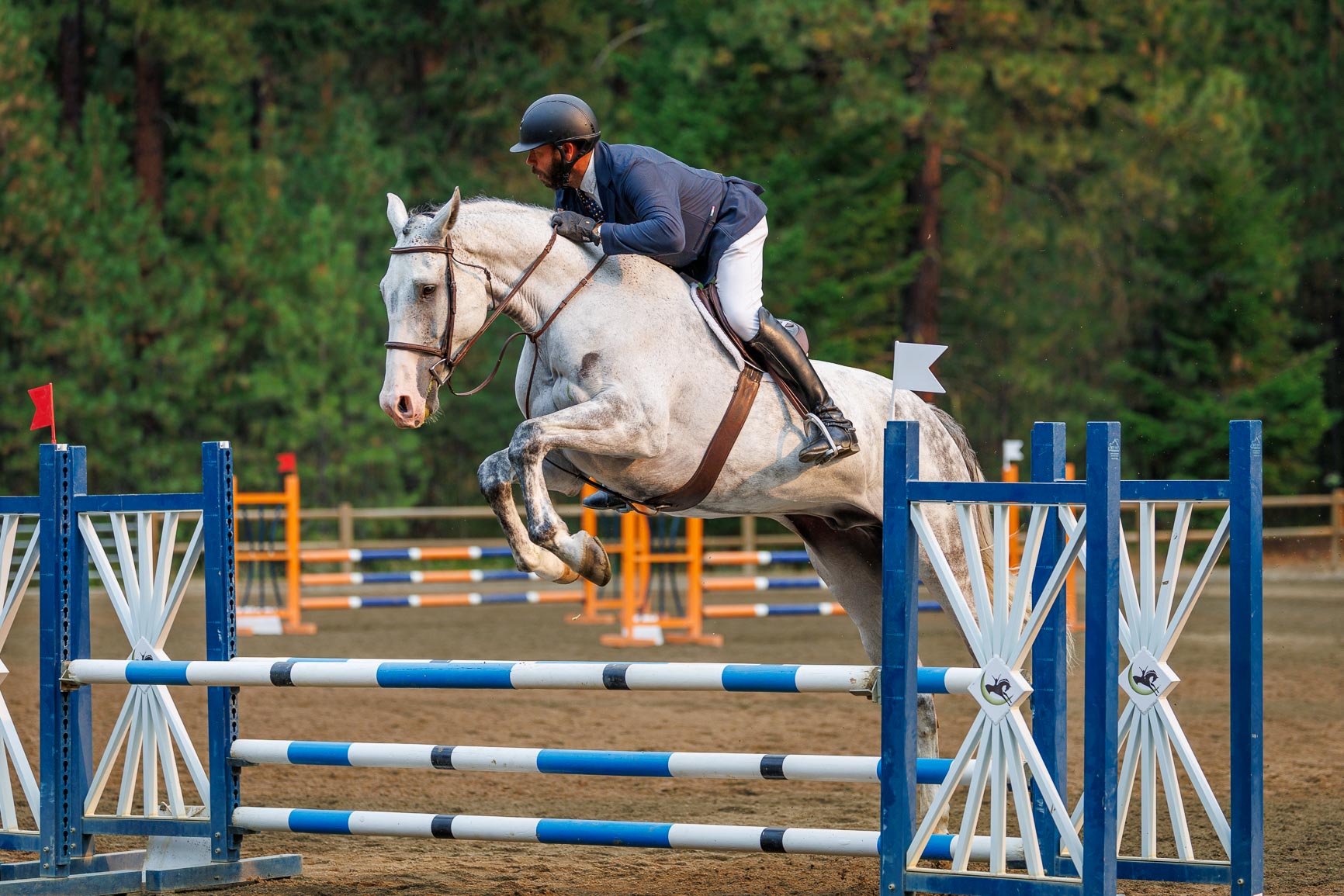 2025 Cascade Finals - Cascade Horse Shows