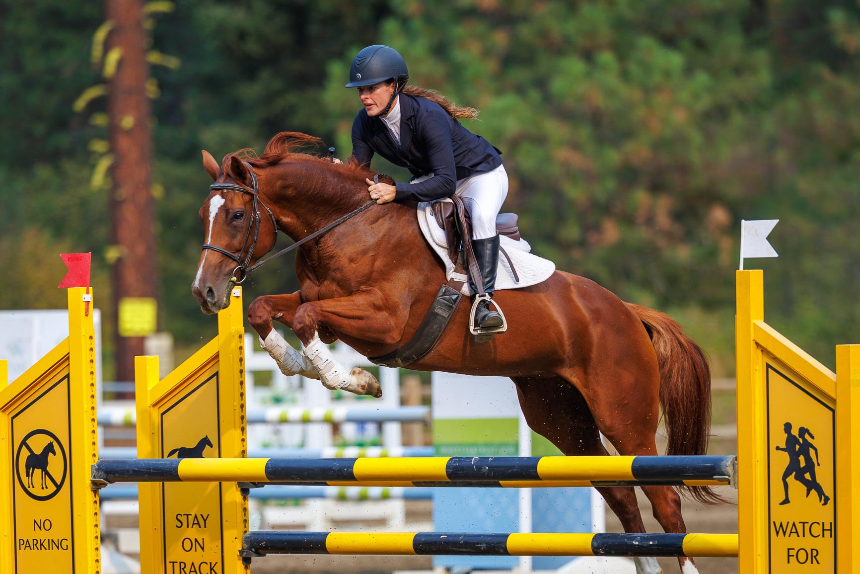 We Are Headed to the Finals! - Cascade Horse Shows